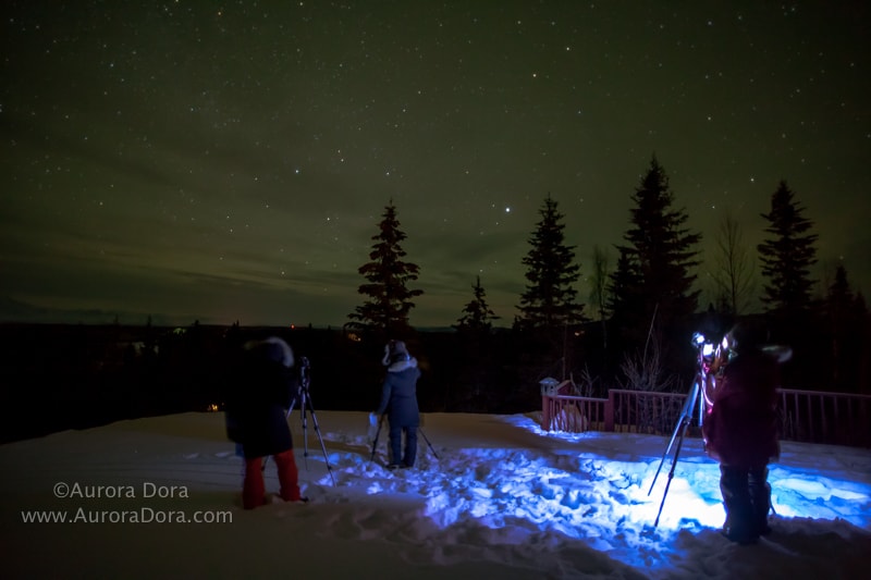Workshops | Aurora Dora
