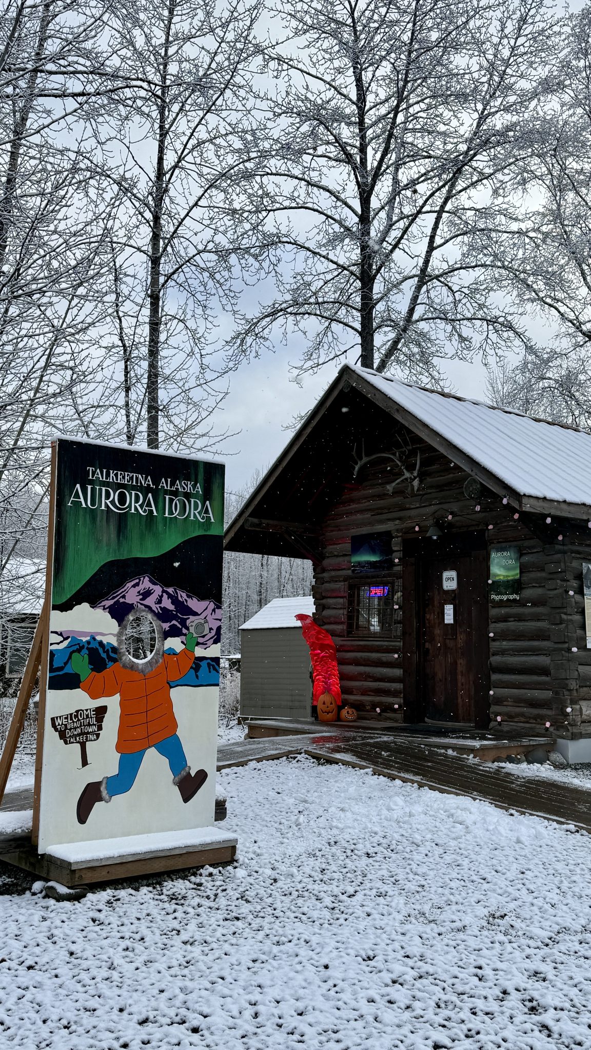 Talkeetna Gallery | Aurora Dora